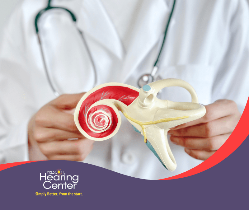 Understanding Tympanometry: A Key to Middle Ear Health | Prescott ...